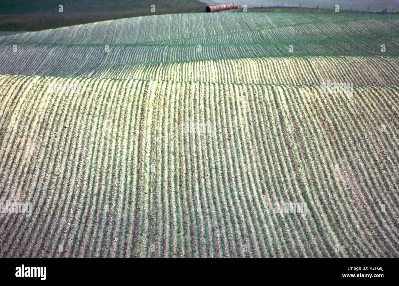 Ackerfurchen agriculture hi-res stock photography and images - Alamy