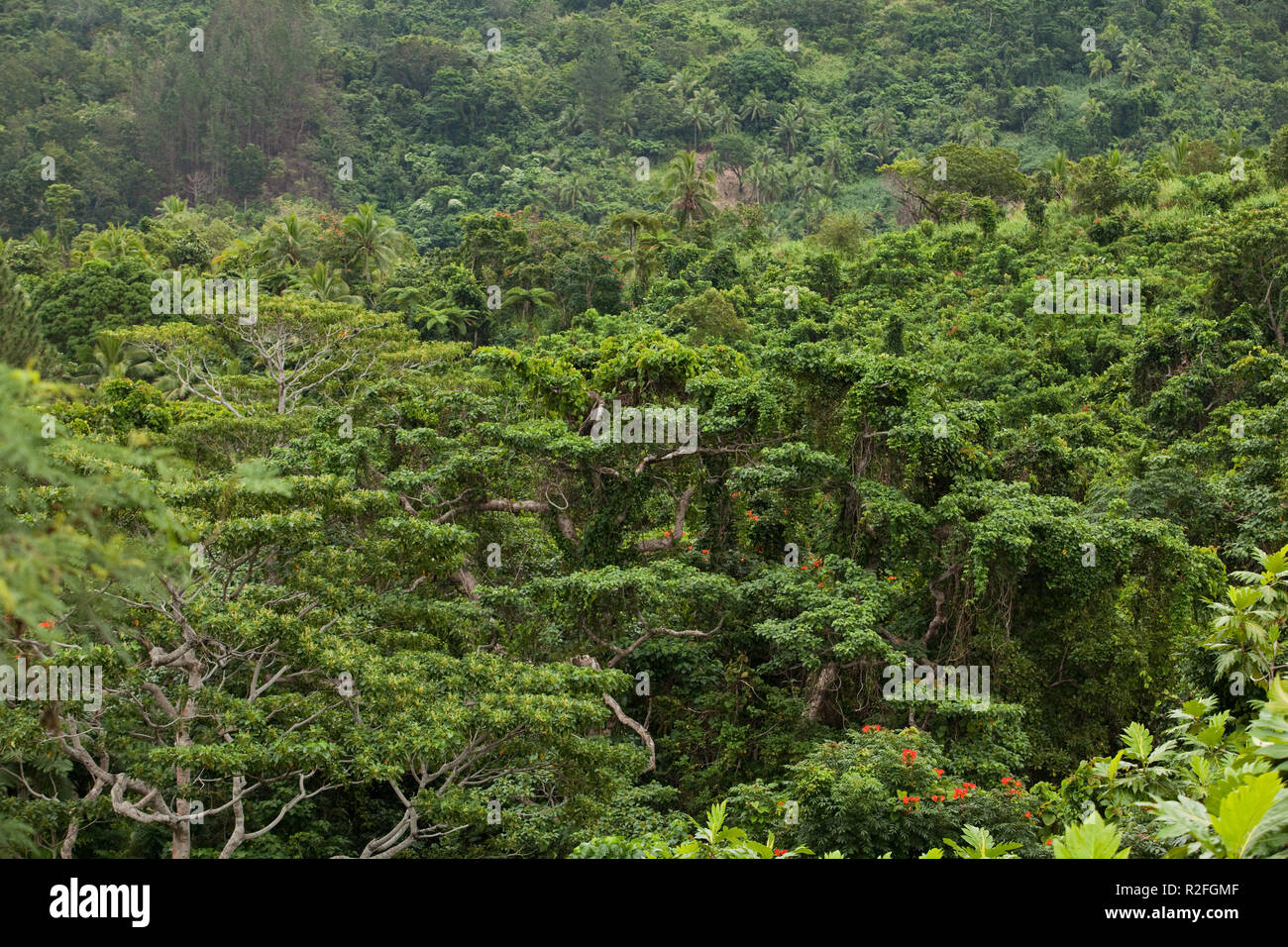 Nature landscape, Fiji Stock Photo - Alamy