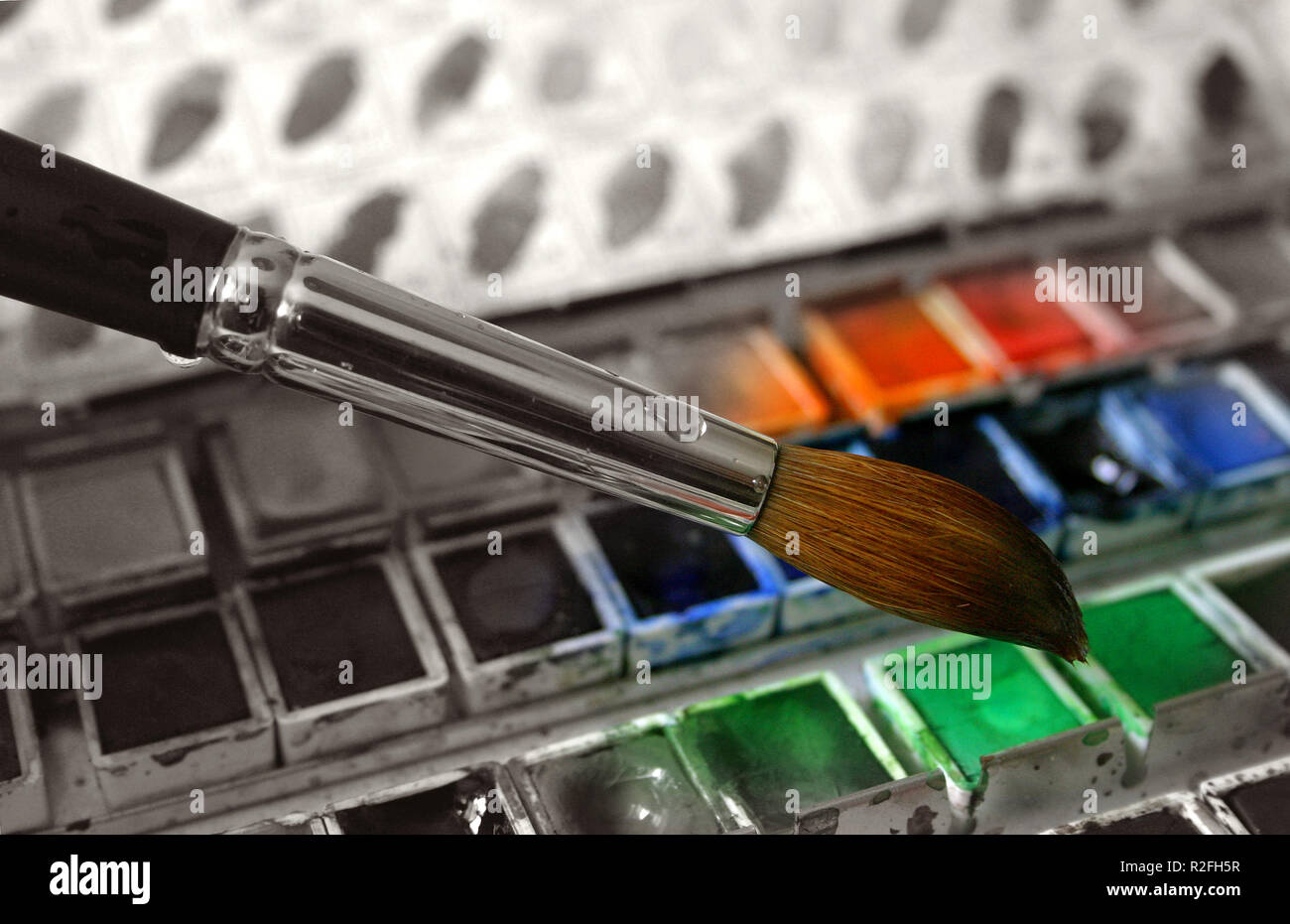 Bring colors to life hi-res stock photography and images - Alamy