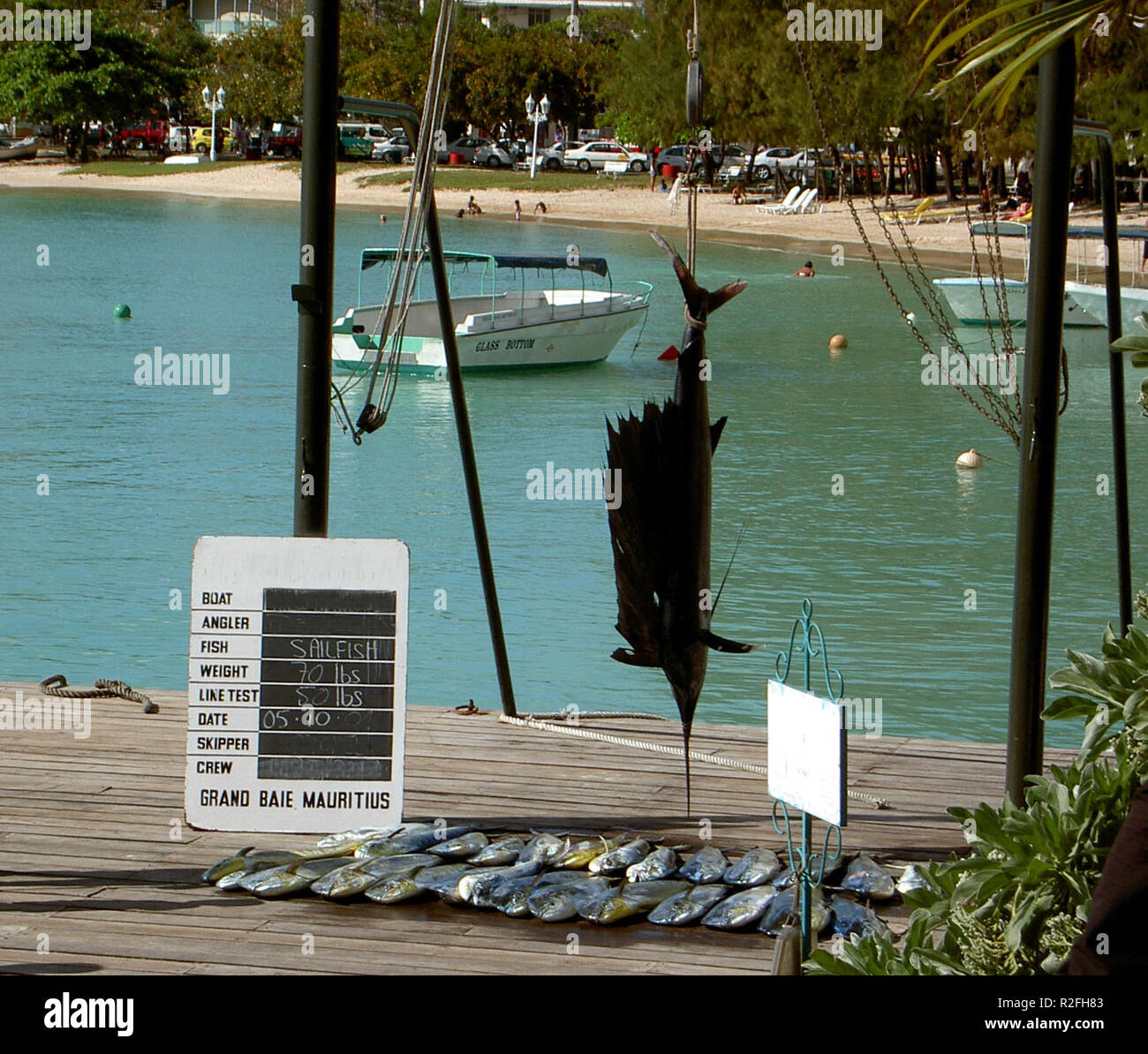 Mauritius marlin hi-res stock photography and images - Alamy