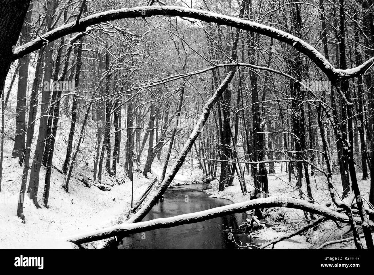 Unaffected Black and White Stock Photos & Images - Alamy