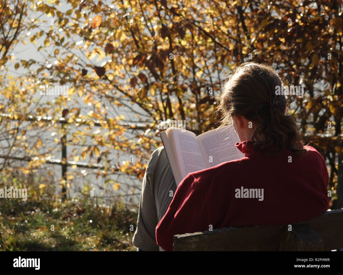 Human form in tree hi-res stock photography and images - Alamy
