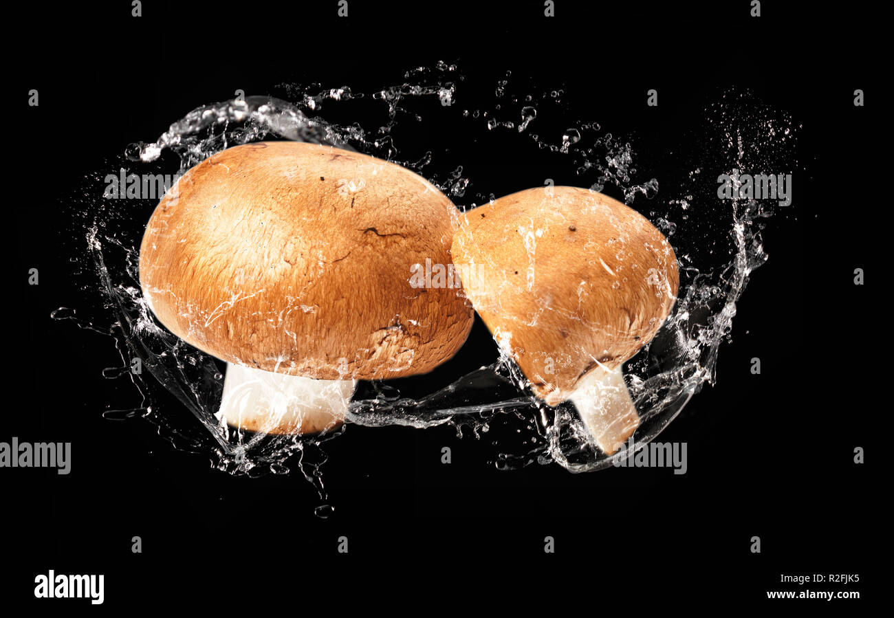 Brown mushrooms, fresh with water splash Stock Photo - Alamy