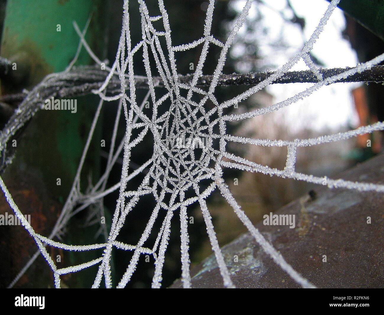 Fine spin hi-res stock photography and images - Alamy