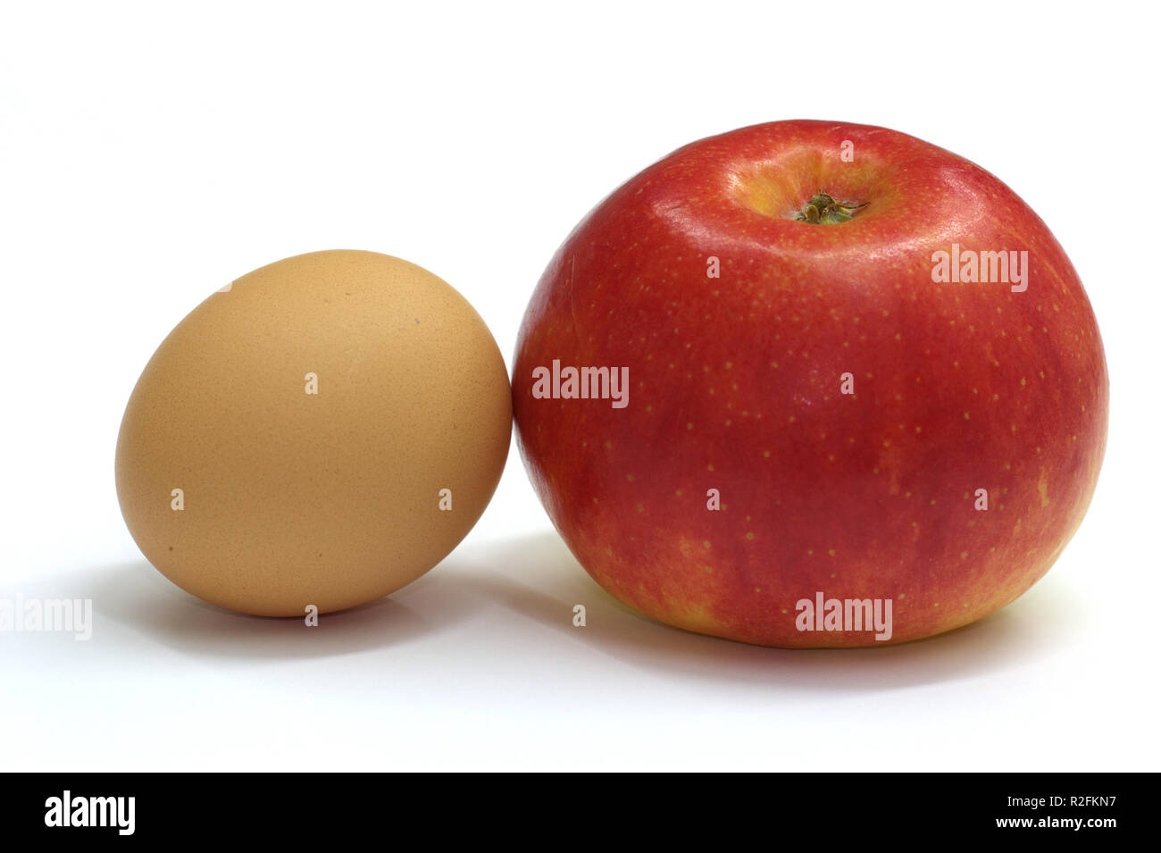 Nahrungserga nzung hi-res stock photography and images - Alamy