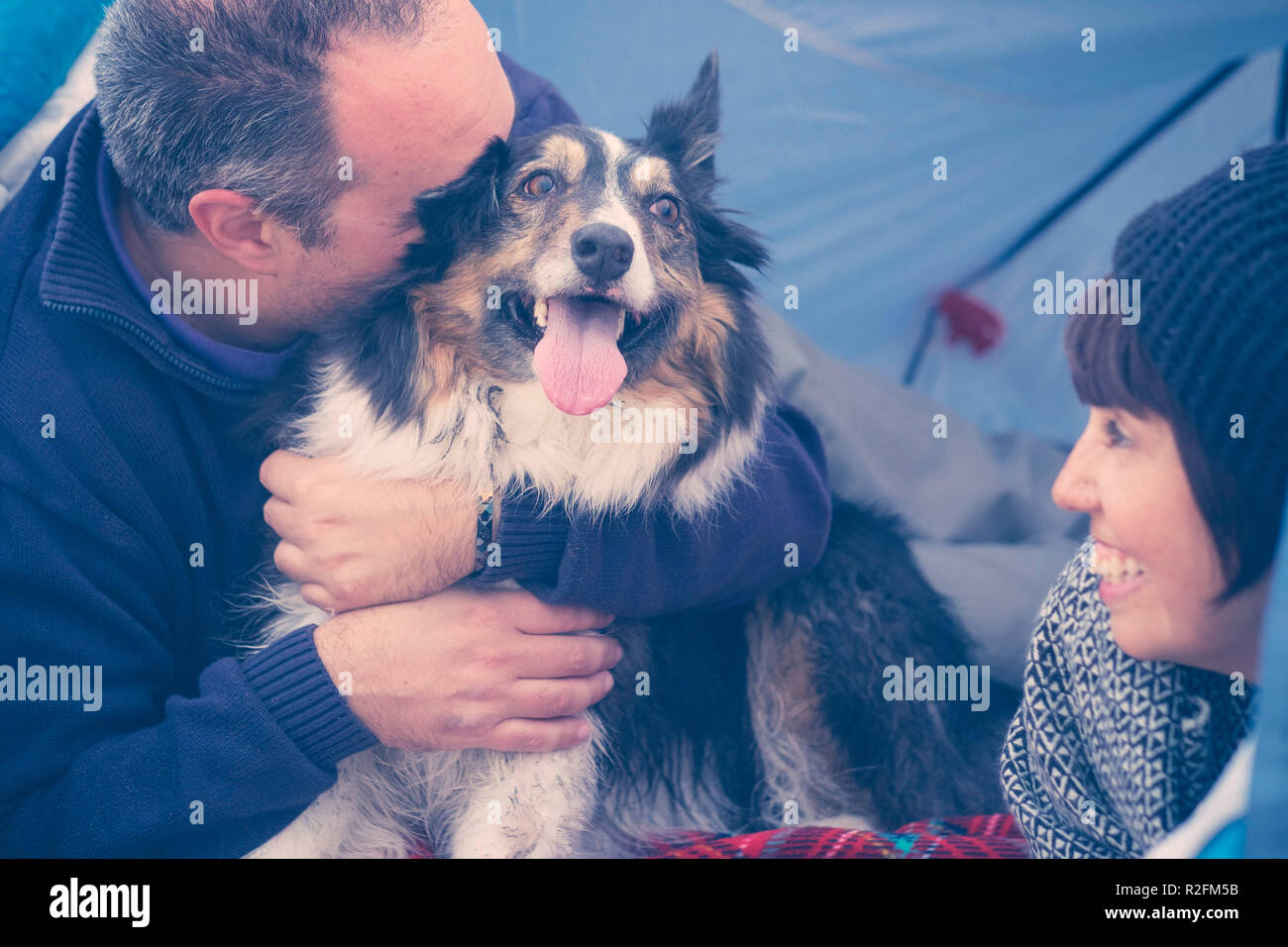 Nice border collie with man woman in love for him hi-res stock ...