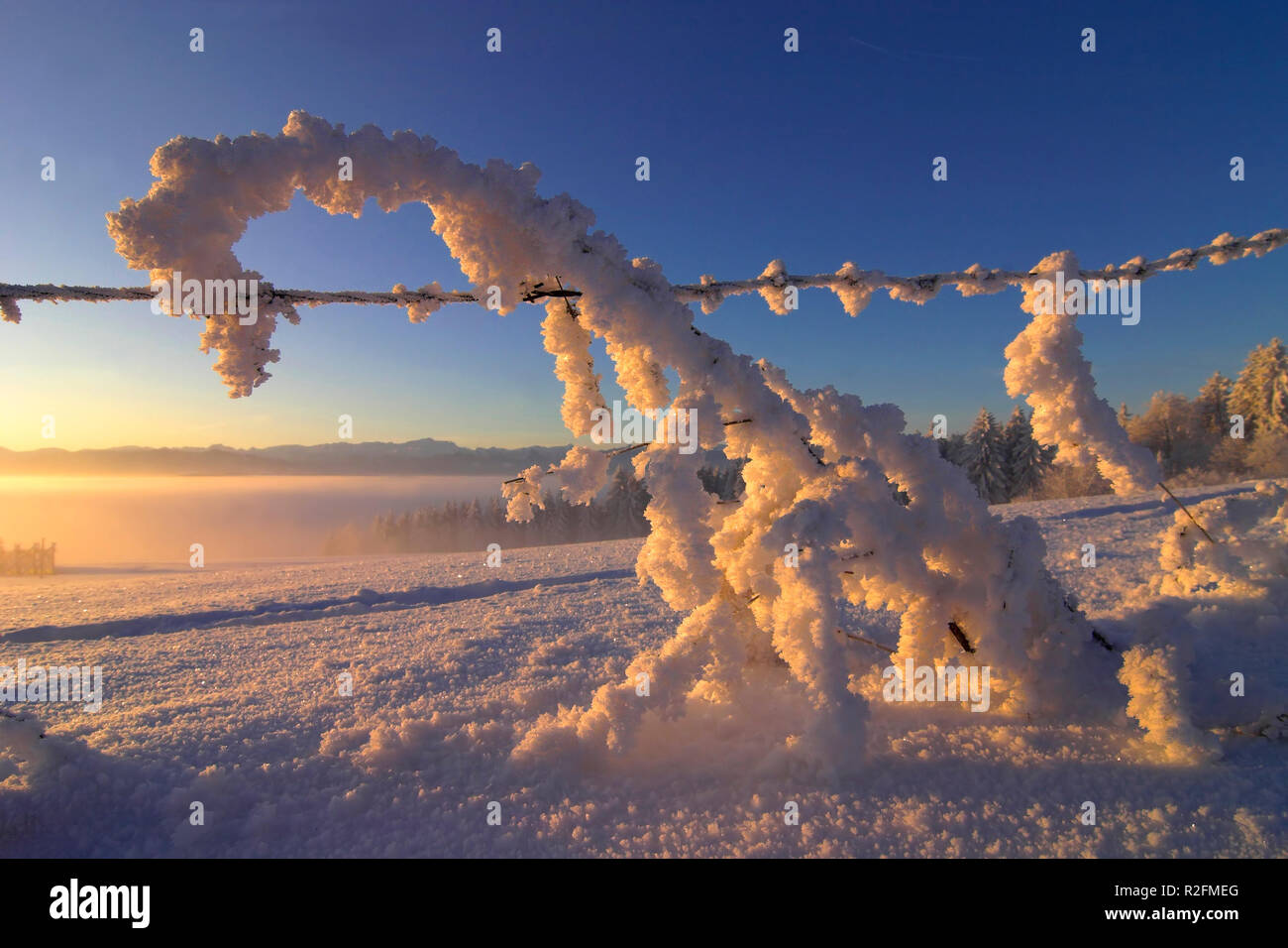 Rib tread hi-res stock photography and images - Alamy