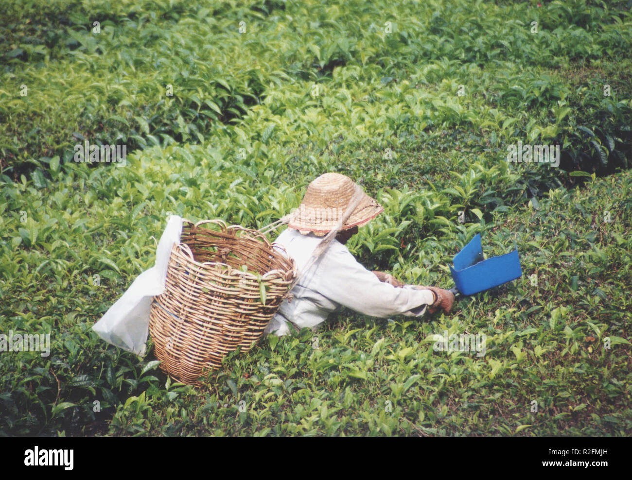 heavy work that looks easy Stock Photo - Alamy