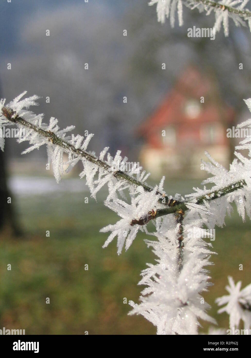 Eisdornen hi-res stock photography and images - Alamy
