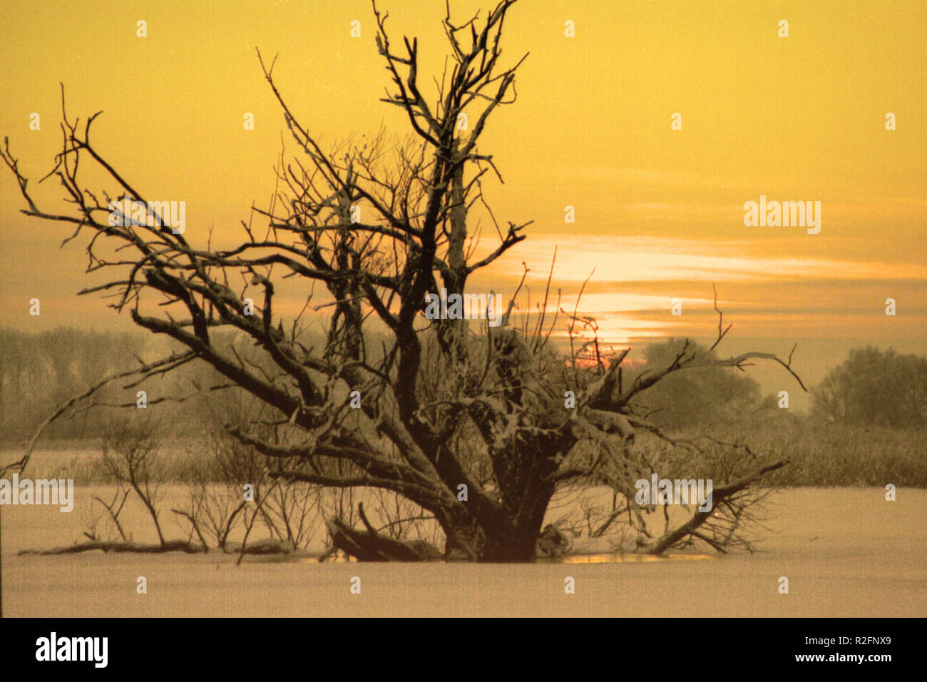 Hermit rest hi-res stock photography and images - Alamy