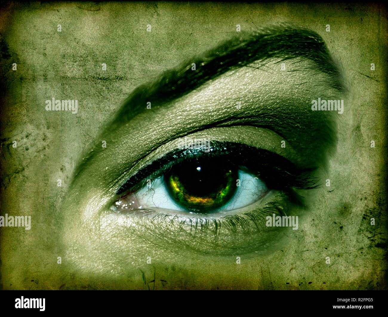 Greeneyes hi-res stock photography and images - Alamy