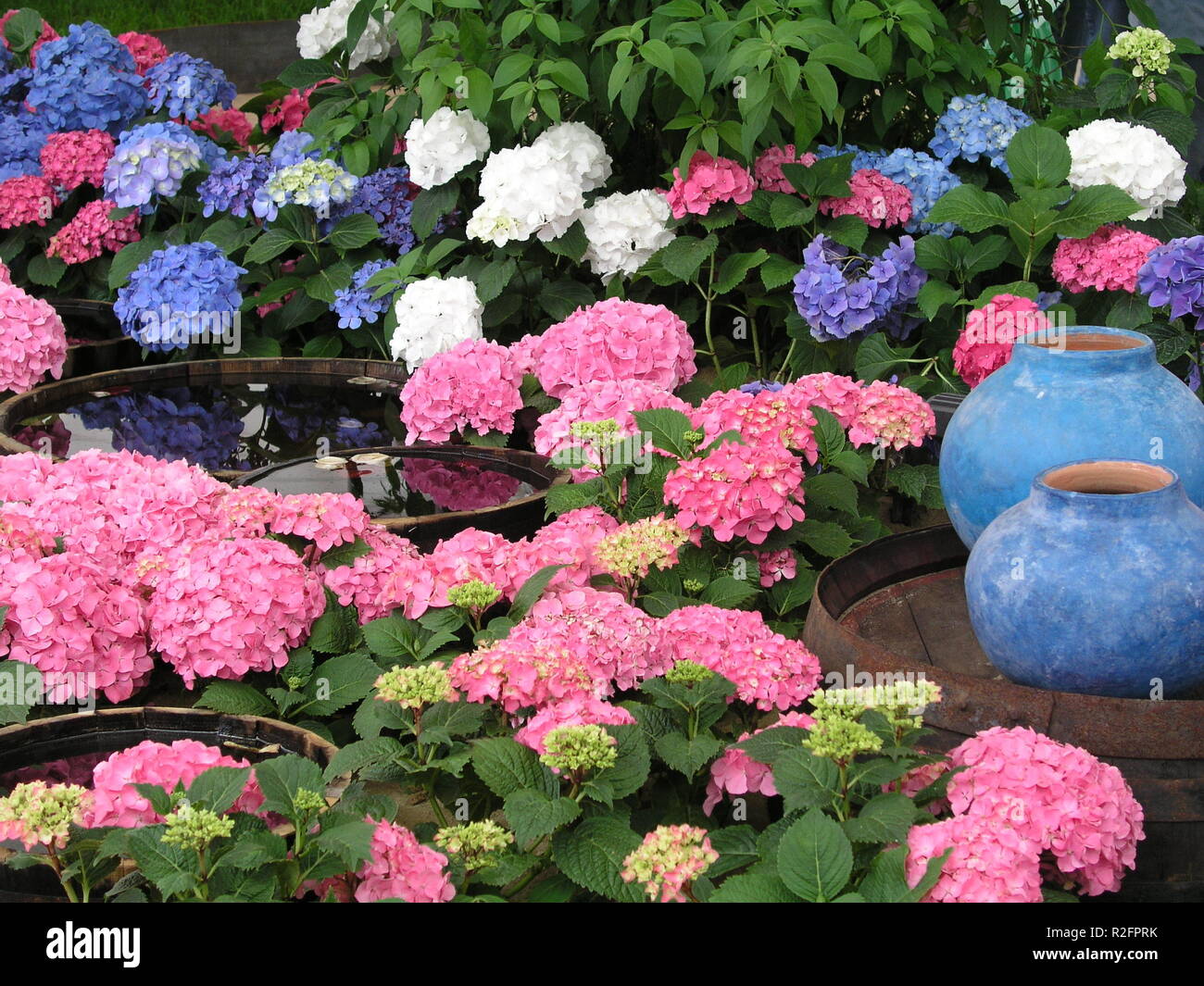 Div colours hi-res stock photography and images - Alamy