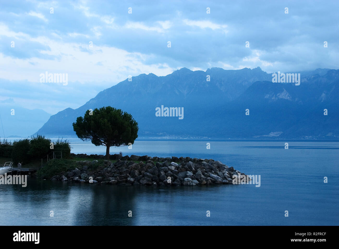 tree at lake geneva 01 Stock Photo - Alamy