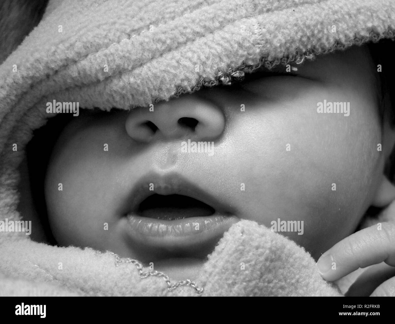 Nibble Black and White Stock Photos & Images - Alamy