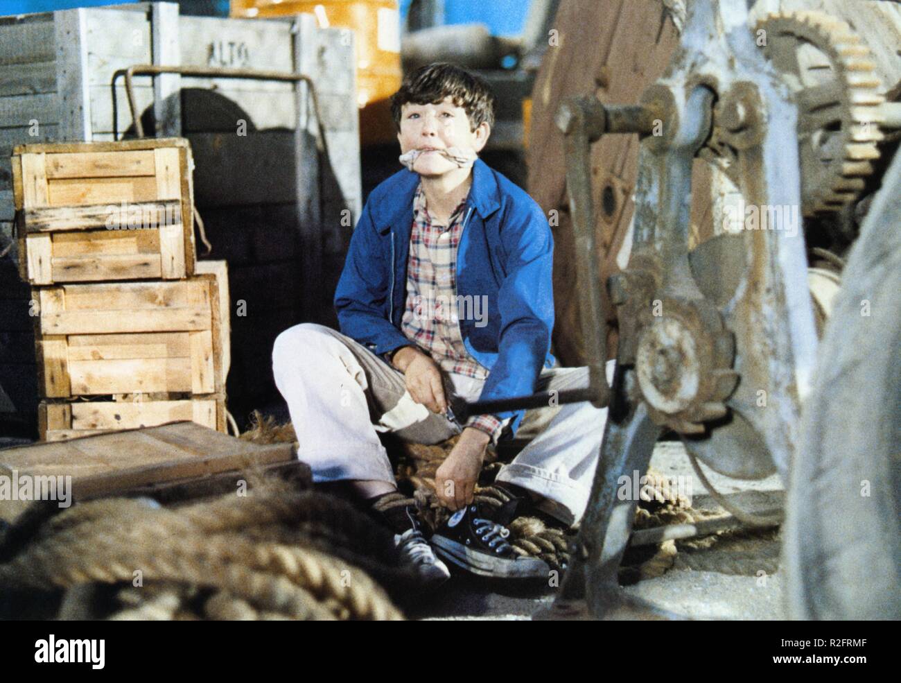 The Black Stallion Returns Year : 1983 USA Director : Robert Dalva ...