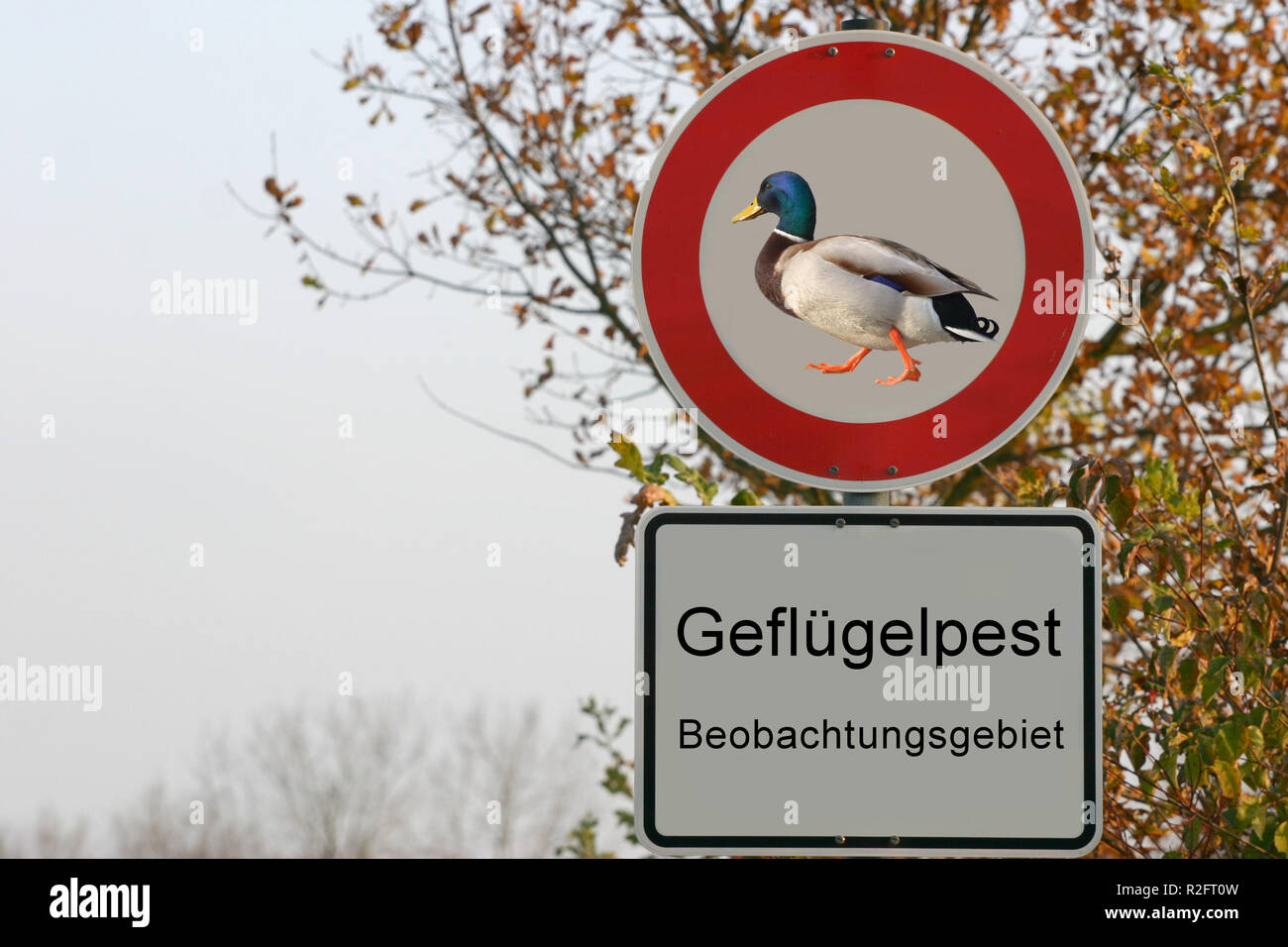 avian observation area Stock Photo - Alamy