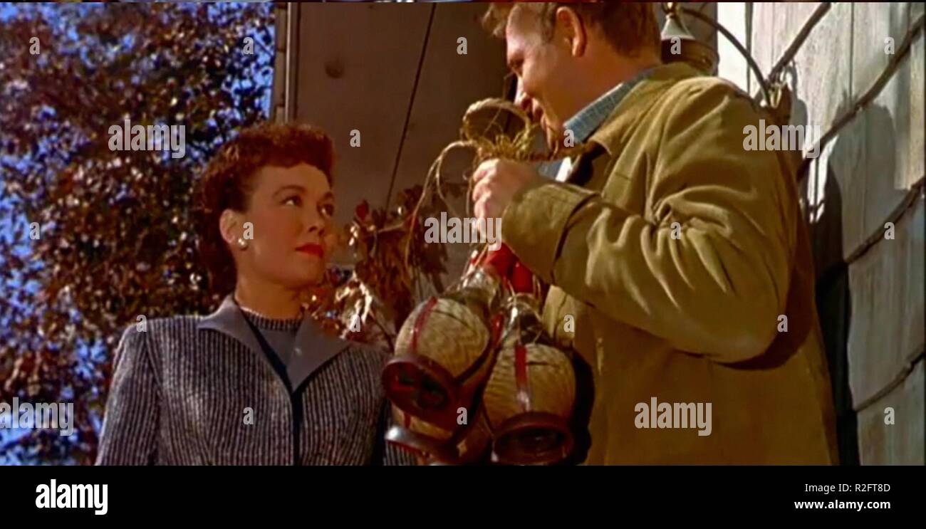 All That Heaven Allows Year : 1955 USA Director : Douglas Sirk Jane ...