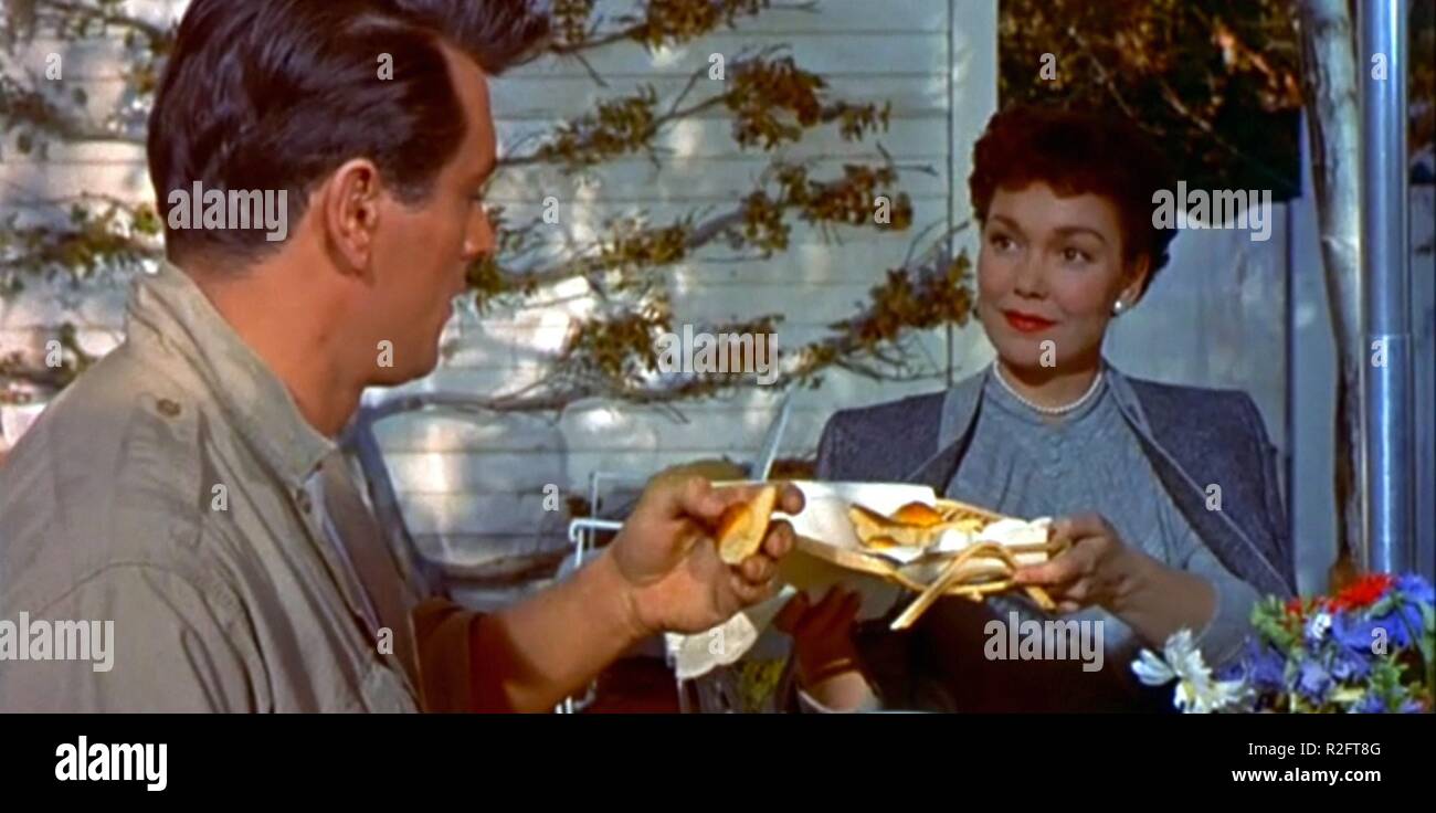 All That Heaven Allows Year : 1955 USA Director : Douglas Sirk Jane ...