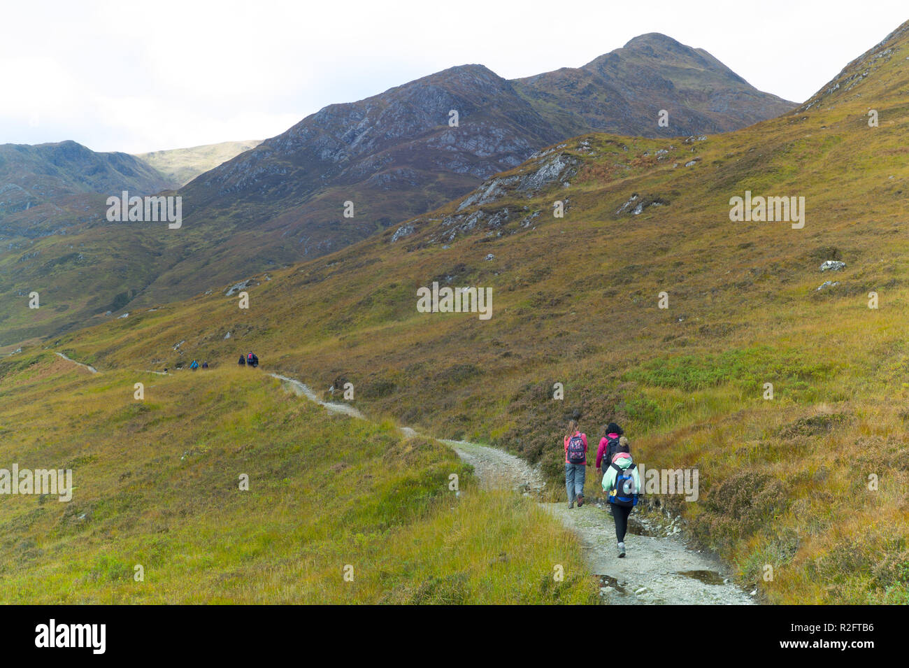 Walkers on the north side footpath beside Loch Affric Glen Affric ...
