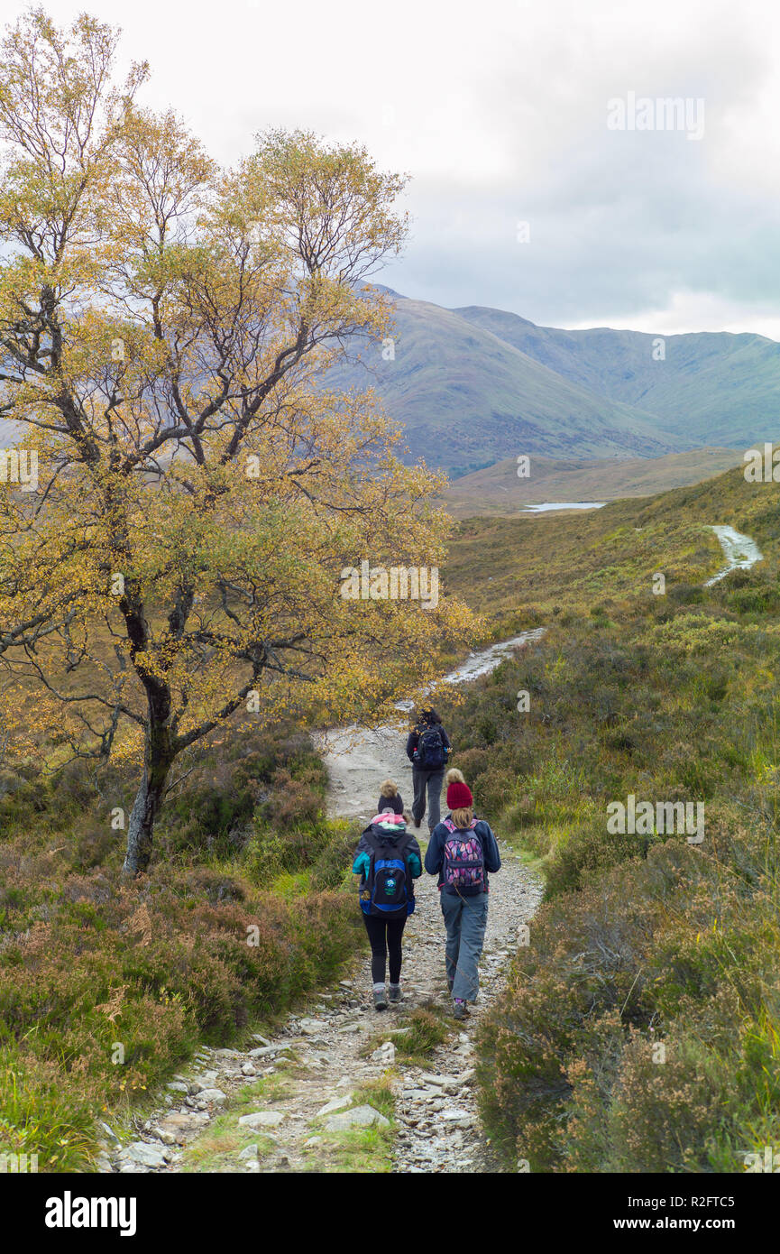 Loch side footpath hi-res stock photography and images - Alamy