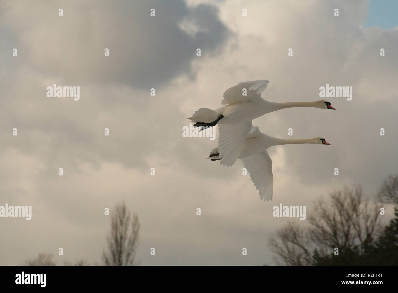 we fly together Stock Photo - Alamy