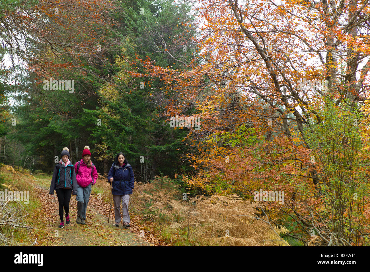 Women walking into distance hi-res stock photography and images - Alamy