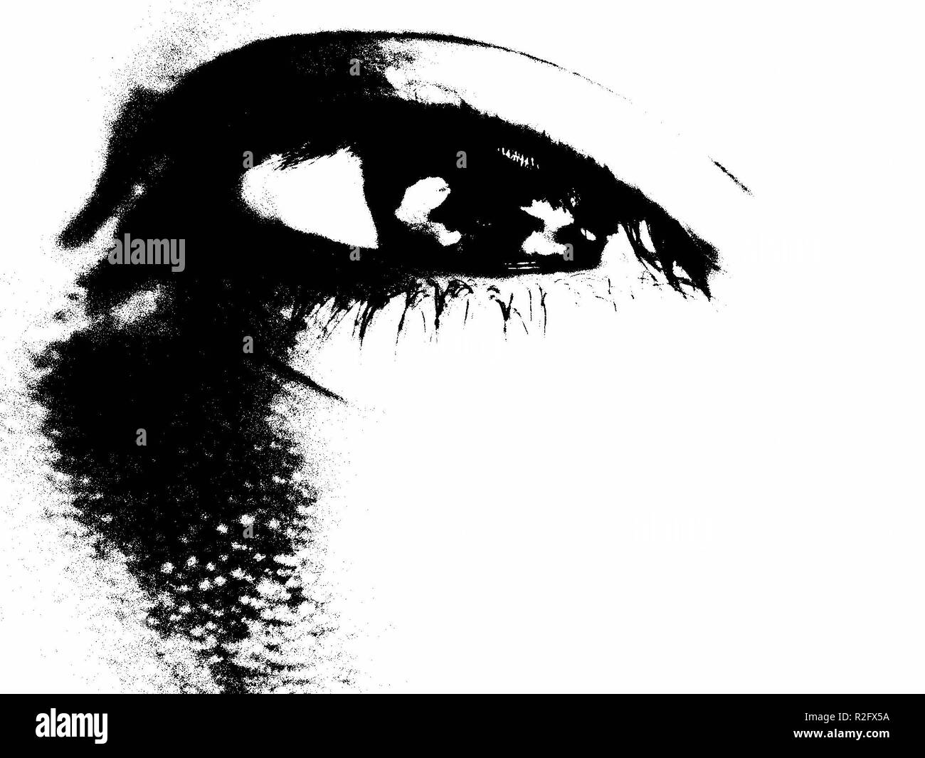 eye is watchful Stock Photo - Alamy