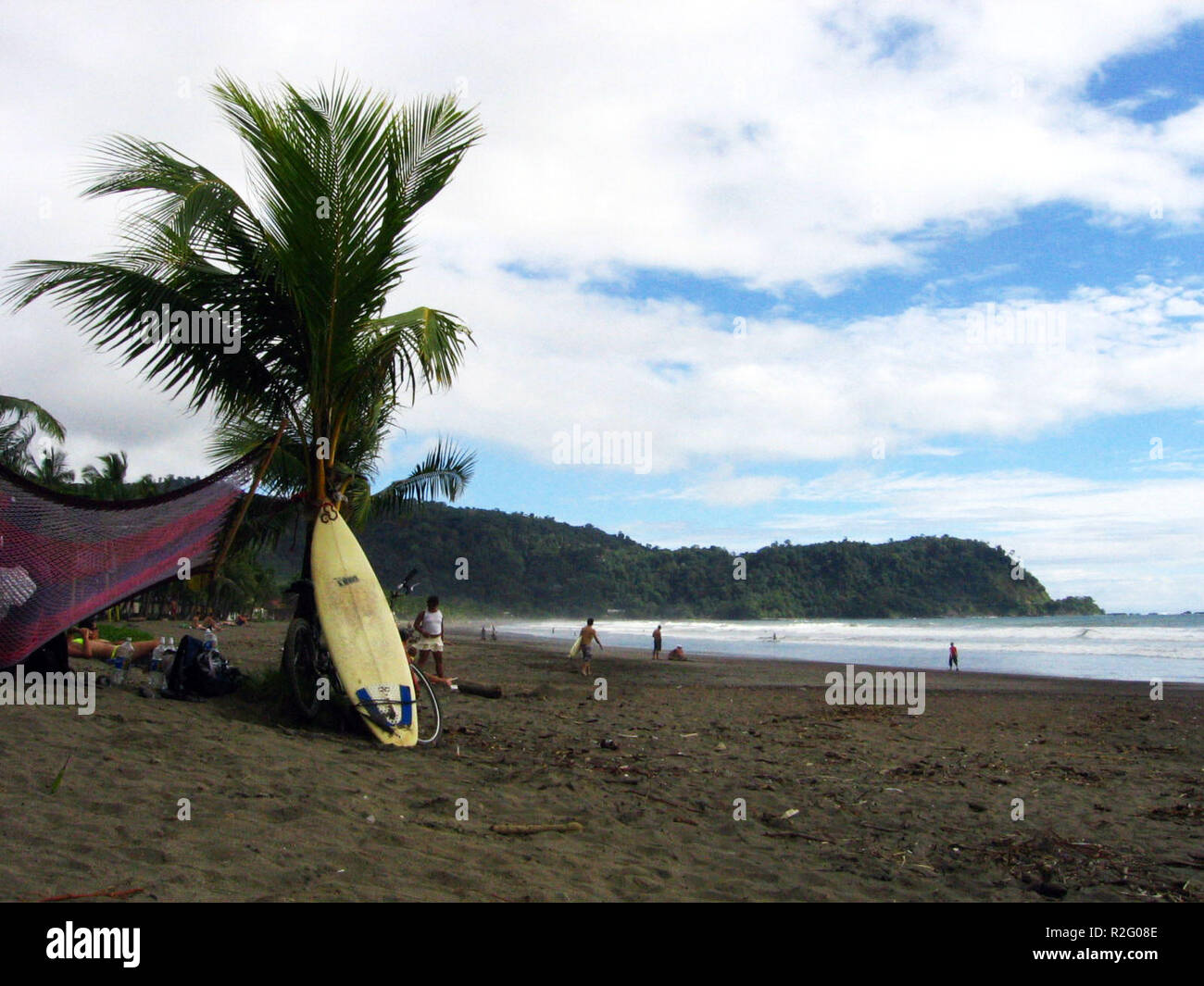 Jaco jaco hi-res stock photography and images - Alamy