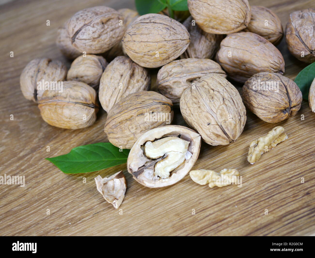 Walnut tree leaves hi-res stock photography and images - Alamy