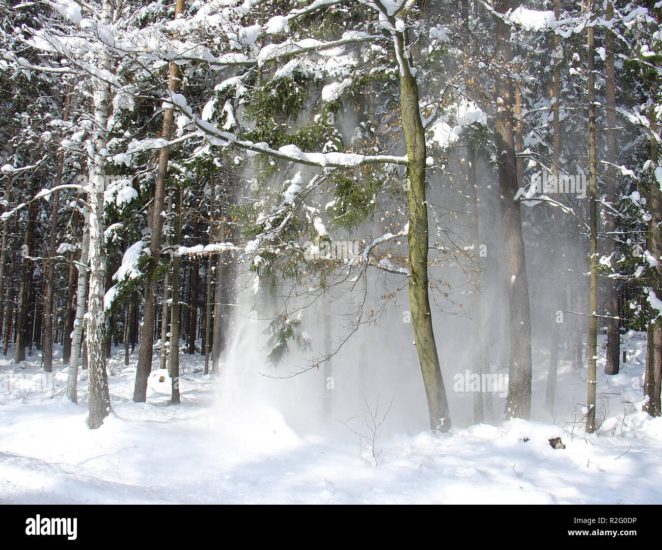 Rieselt hi-res stock photography and images - Alamy