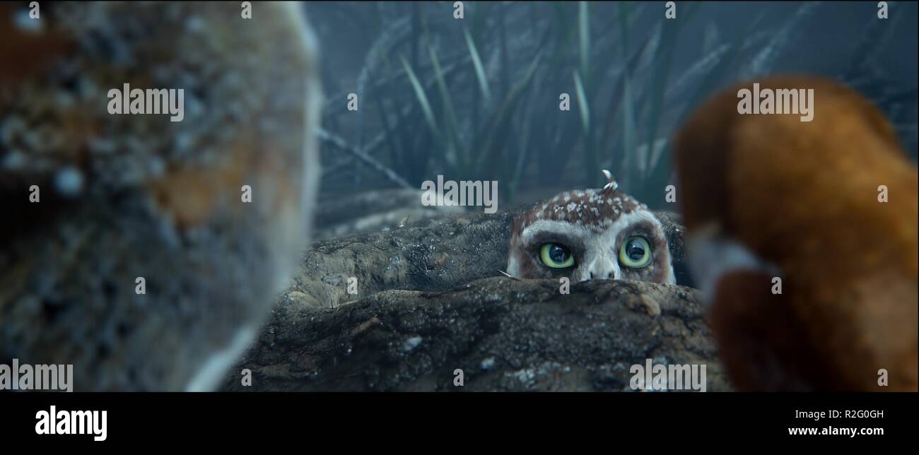 Legend of the Guardians: The Owls of Ga'Hoole Year : 2010 USA Director ...