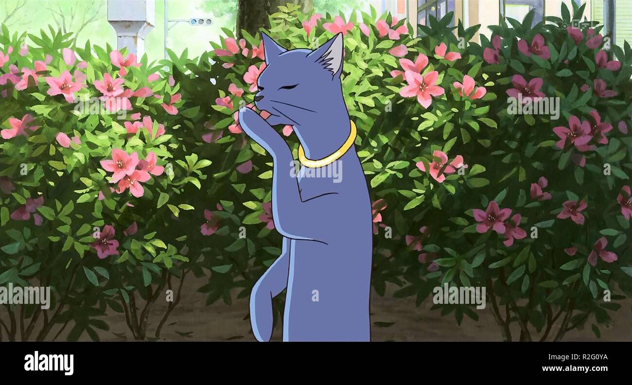 Neko No Ongaeshi High Resolution Stock Photography and Images - Alamy