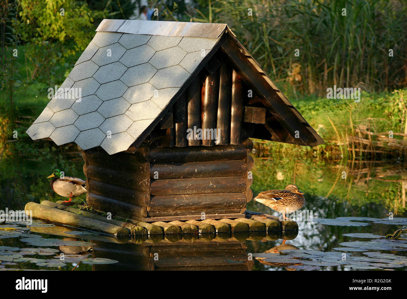 Ehekrach hi-res stock photography and images - Alamy