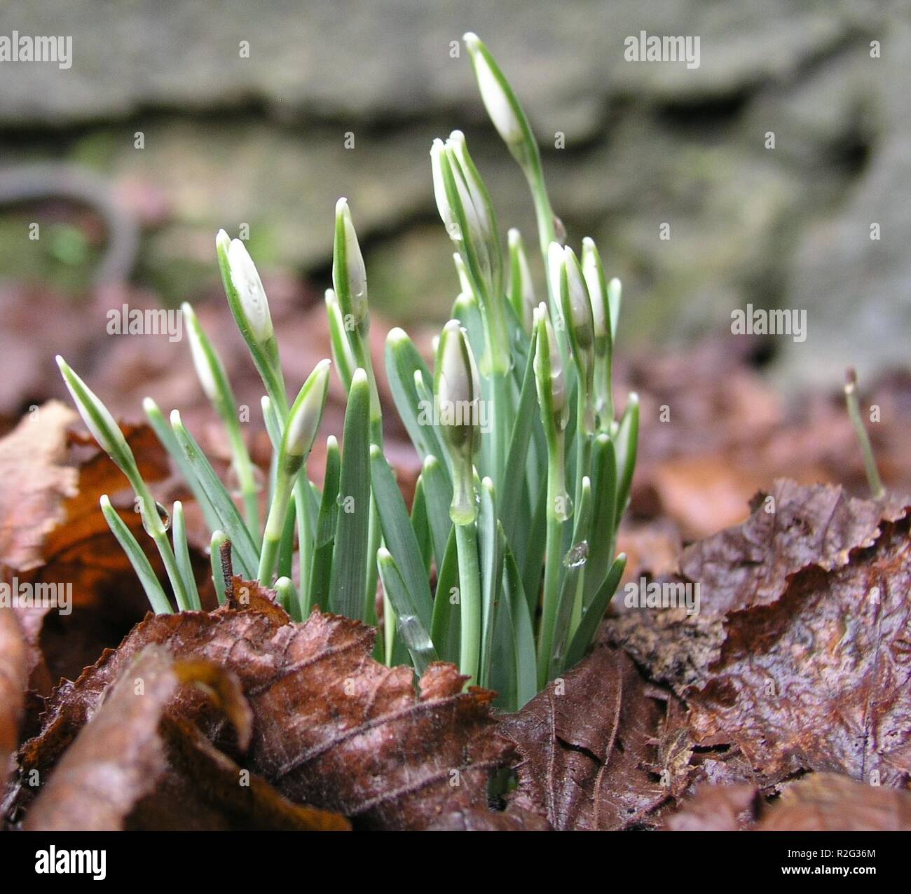 it is nearly time Stock Photo - Alamy