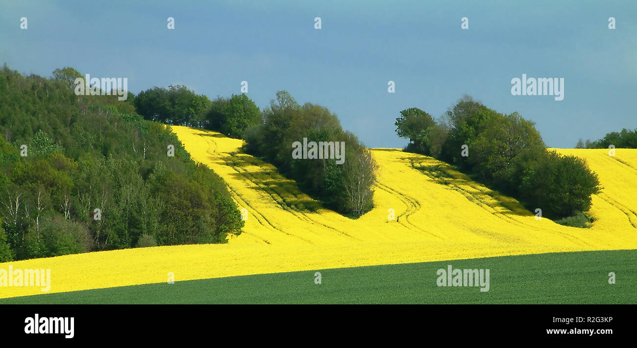 come dear may Stock Photo - Alamy