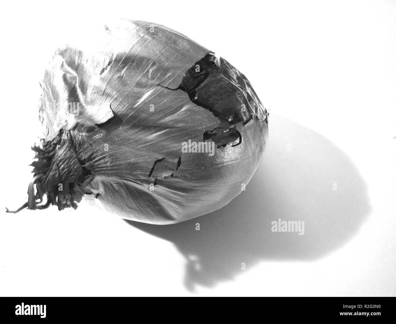 Onion close up Black and White Stock Photos & Images - Alamy