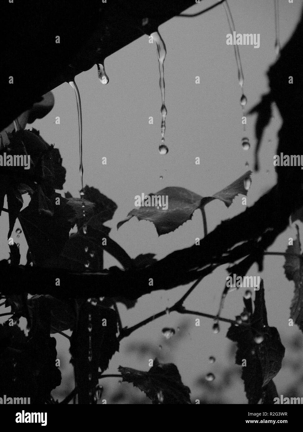 it's still raining Stock Photo - Alamy