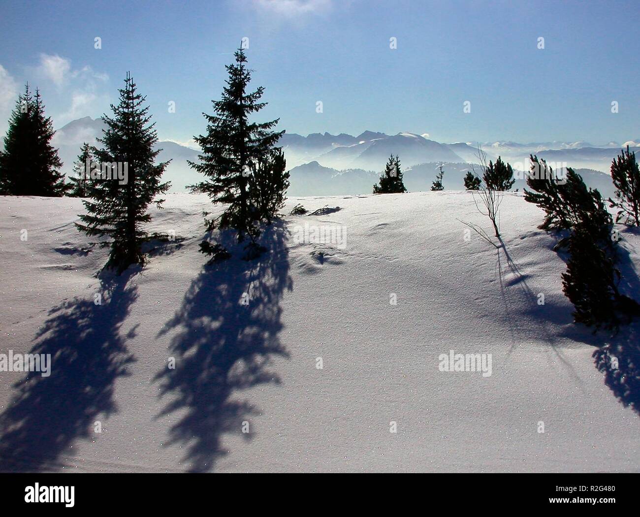 Twin shadow hi-res stock photography and images - Alamy