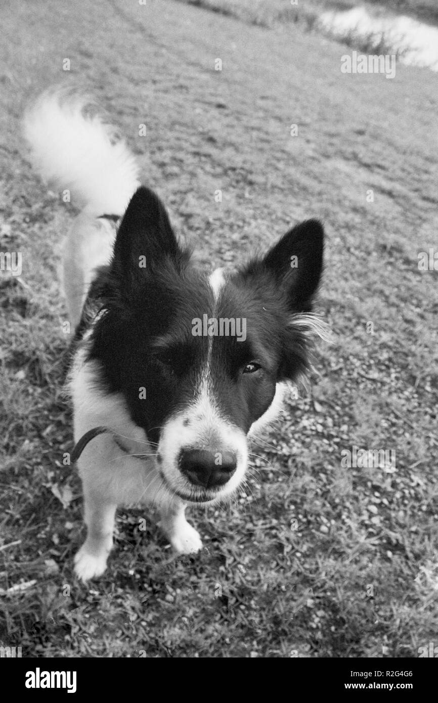 Curious nosey nosy eyes look Black and White Stock Photos & Images - Alamy