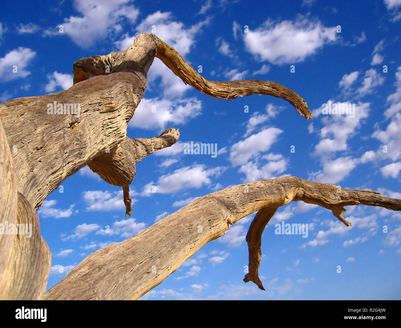 Reachin hi-res stock photography and images - Alamy