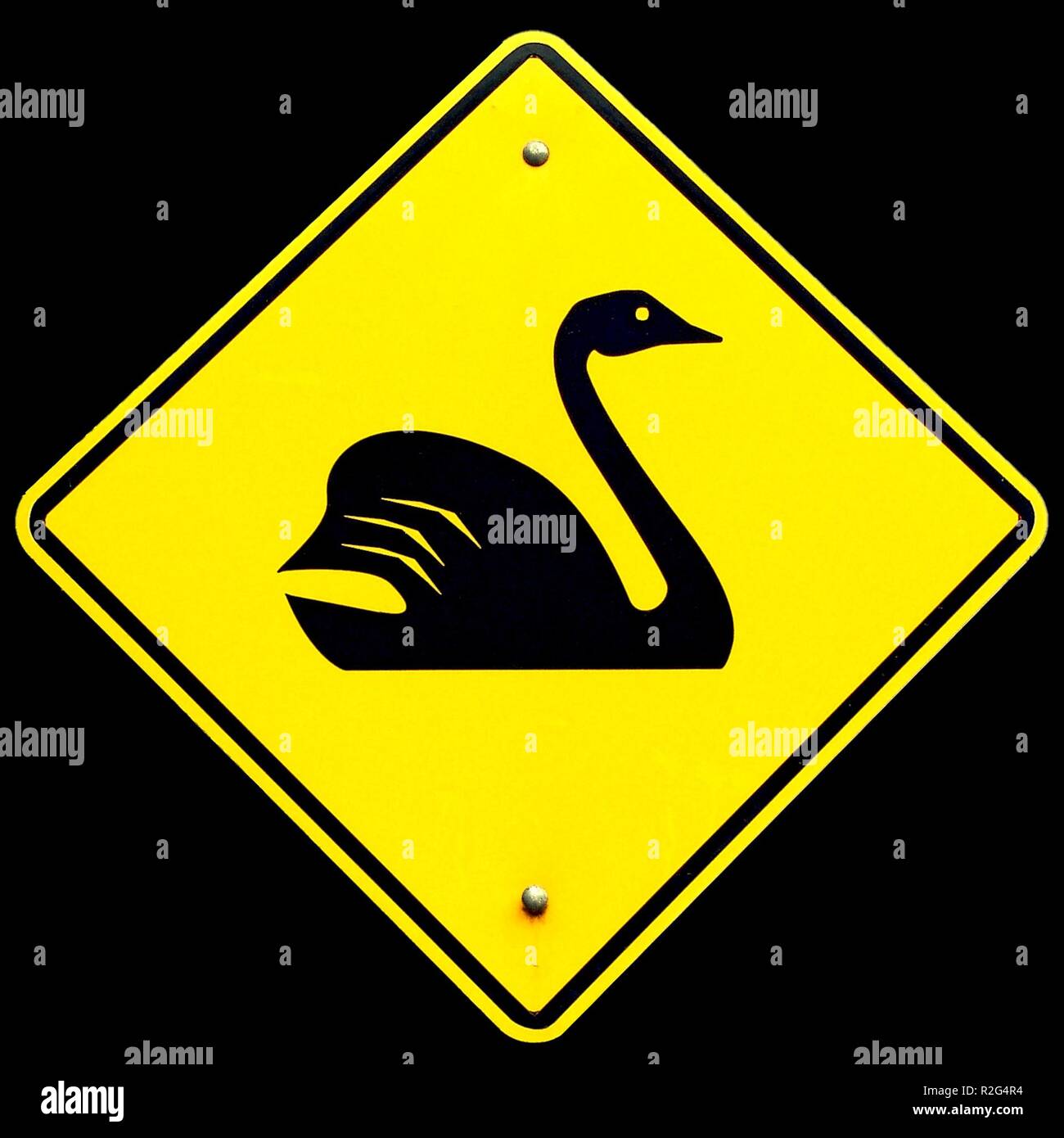Black swan sign hi-res stock photography and images - Alamy