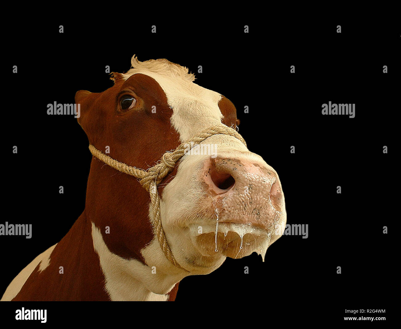 Irtschaft hi-res stock photography and images - Alamy