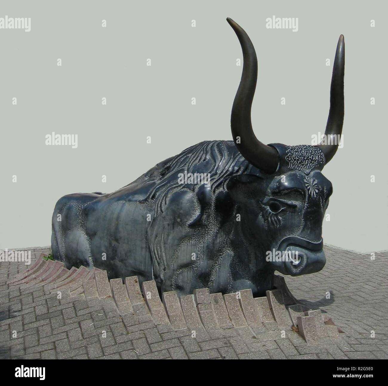 Square bull hi-res stock photography and images - Alamy