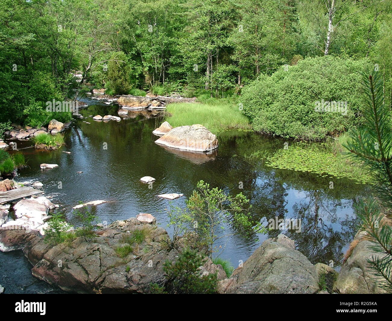 brook trout pools Stock Photo - Alamy