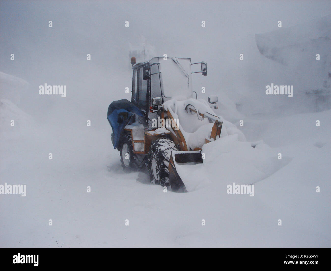 Winter return hi-res stock photography and images - Alamy