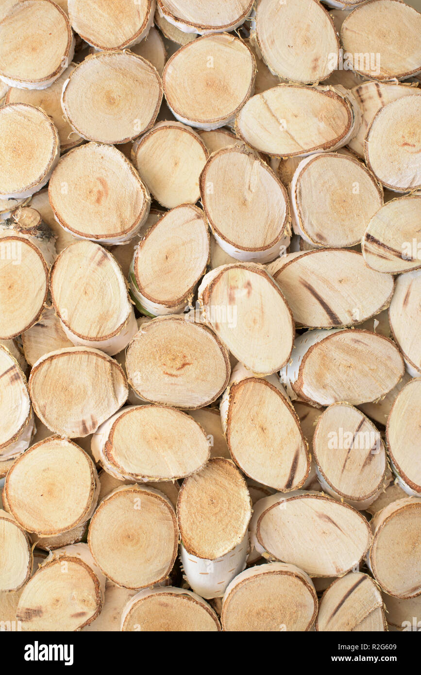 Birch log cross section hi-res stock photography and images - Alamy