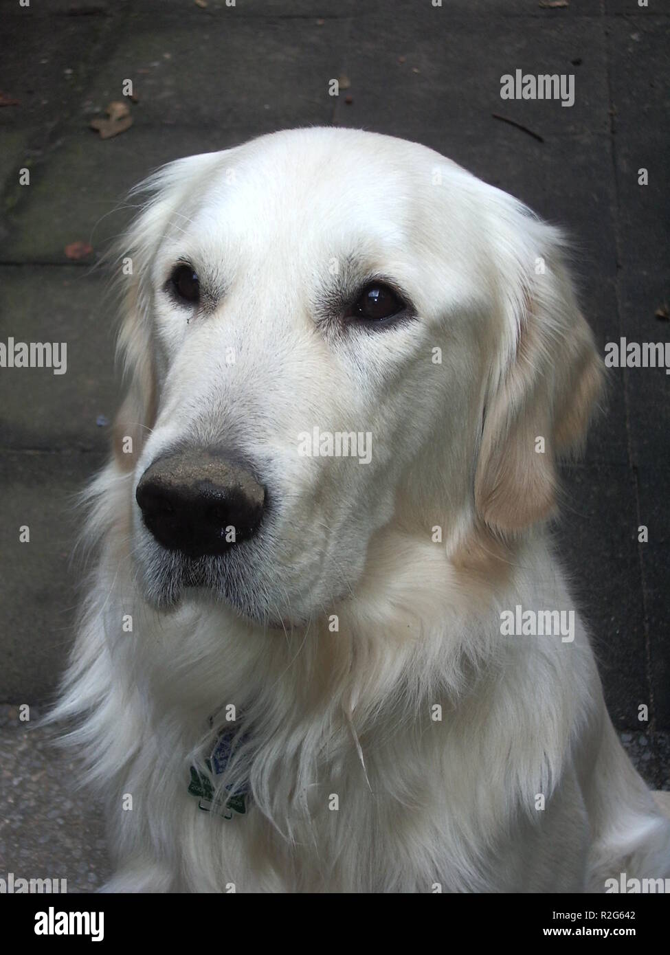 Nice chap hi-res stock photography and images - Alamy
