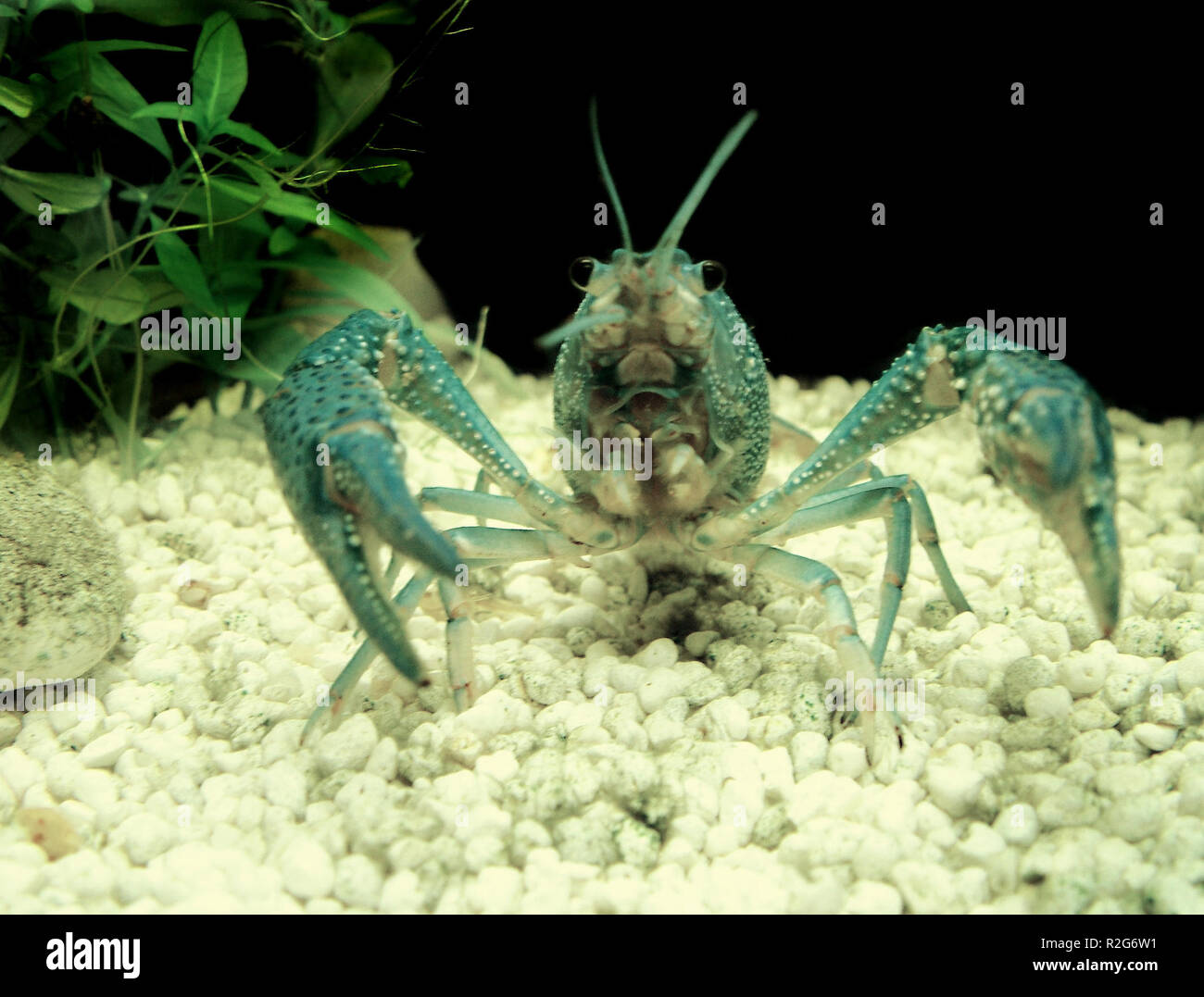 New housemate hi-res stock photography and images - Alamy