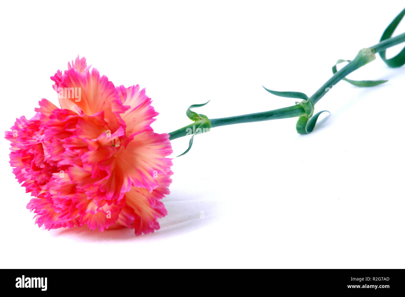 1st of may Stock Photo - Alamy