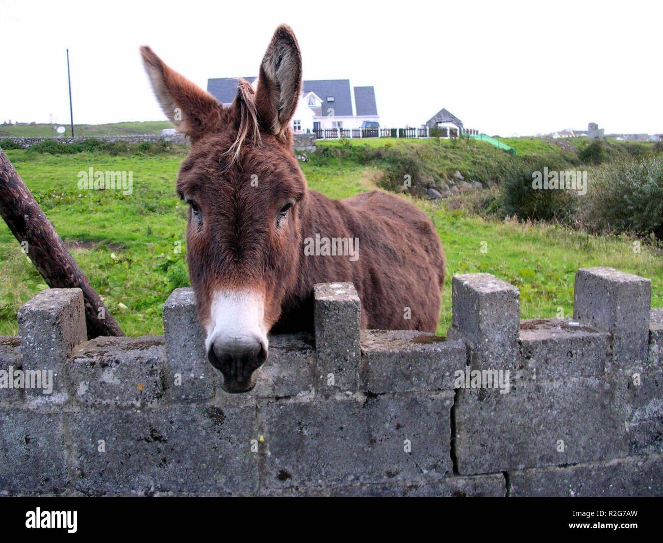 Aille hi-res stock photography and images - Alamy